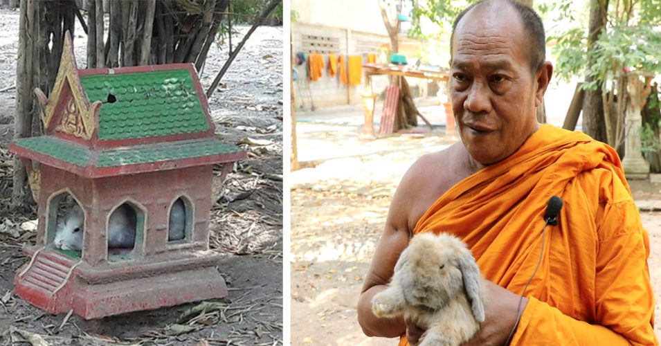 Thai Monk Transforms Unused Spirit Houses Into Homes For Rabbits