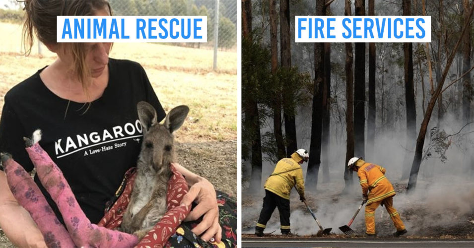 Here’s How To Donate To Australia’s Wildfire Victims And Relief Causes