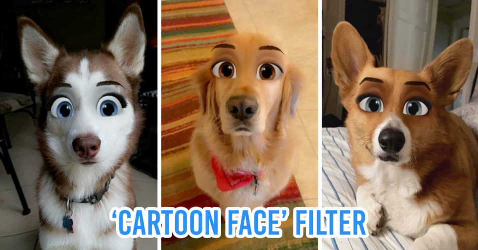 Snapchat's New "Disney" Filter Turns Your Pets Into Pixar Characters
