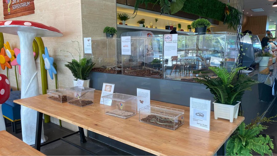 Siam Serpentarium In BKK Has A Snake Cafe For Aspiring Slytherins