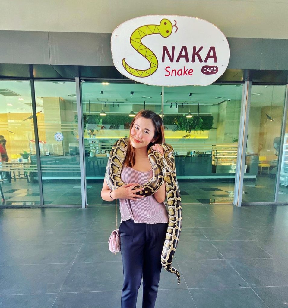 Siam Serpentarium In BKK Has A Snake Cafe For Aspiring Slytherins