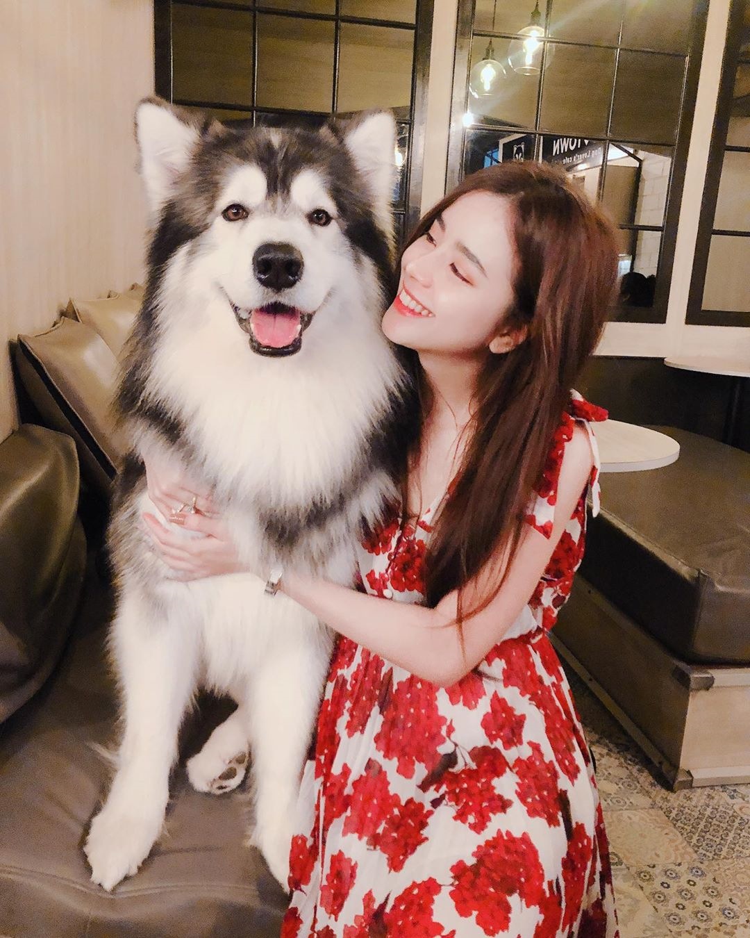 14 Adorable Pet Cafes In Bangkok - Corgis, Rabbits, Rare Pets