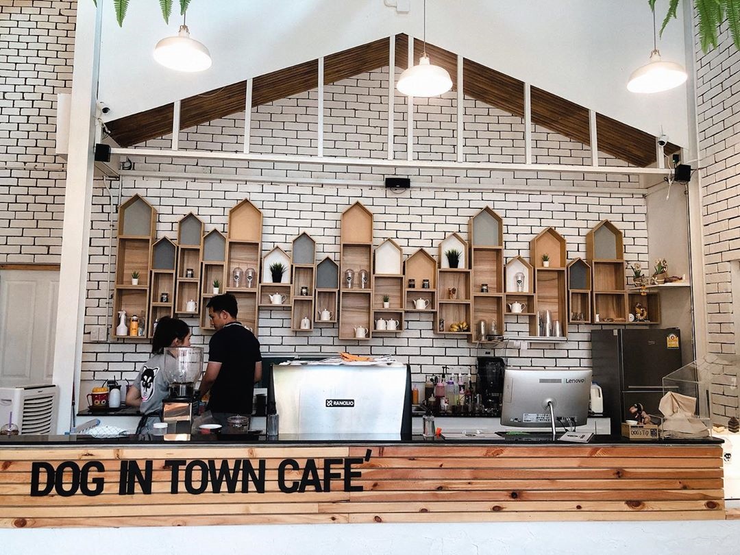 14 Adorable Pet Cafes In Bangkok - Corgis, Rabbits, Rare Pets