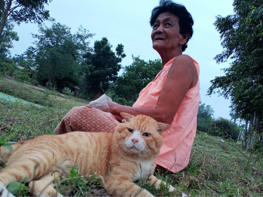 Needy Cat Needs Owner To Carry It Home Every Time It Wanders Outside