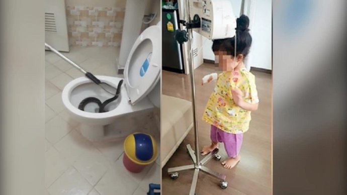 Huge Python Surprises Thai Man From Bathroom Ceiling