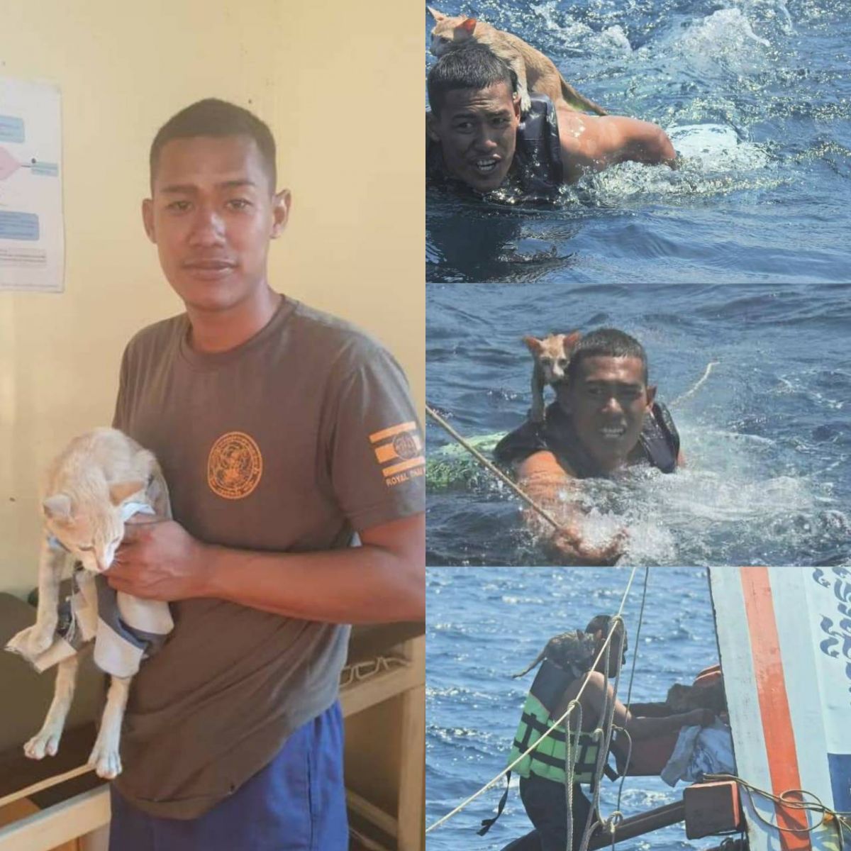 Buff Navy Guard Saved Four Kittens From Drowning