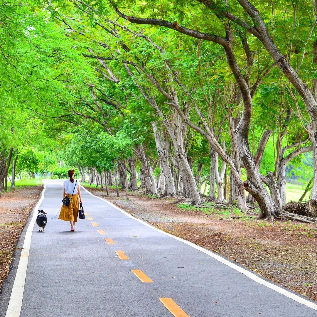 Three Recreational Spots In BKK Going For Thai Teens To Have Fun At