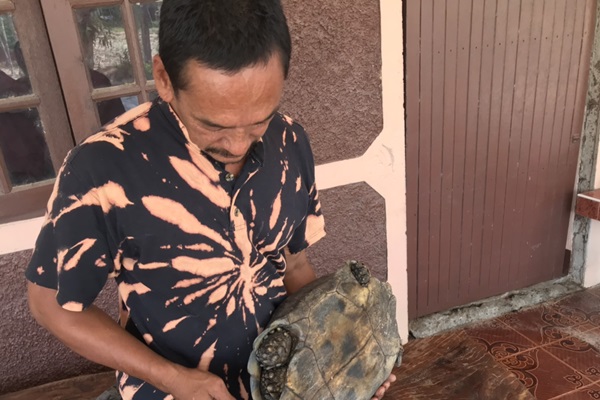 Thai Couple Saved A Rare Six Legged Turtle From Becoming A Meal