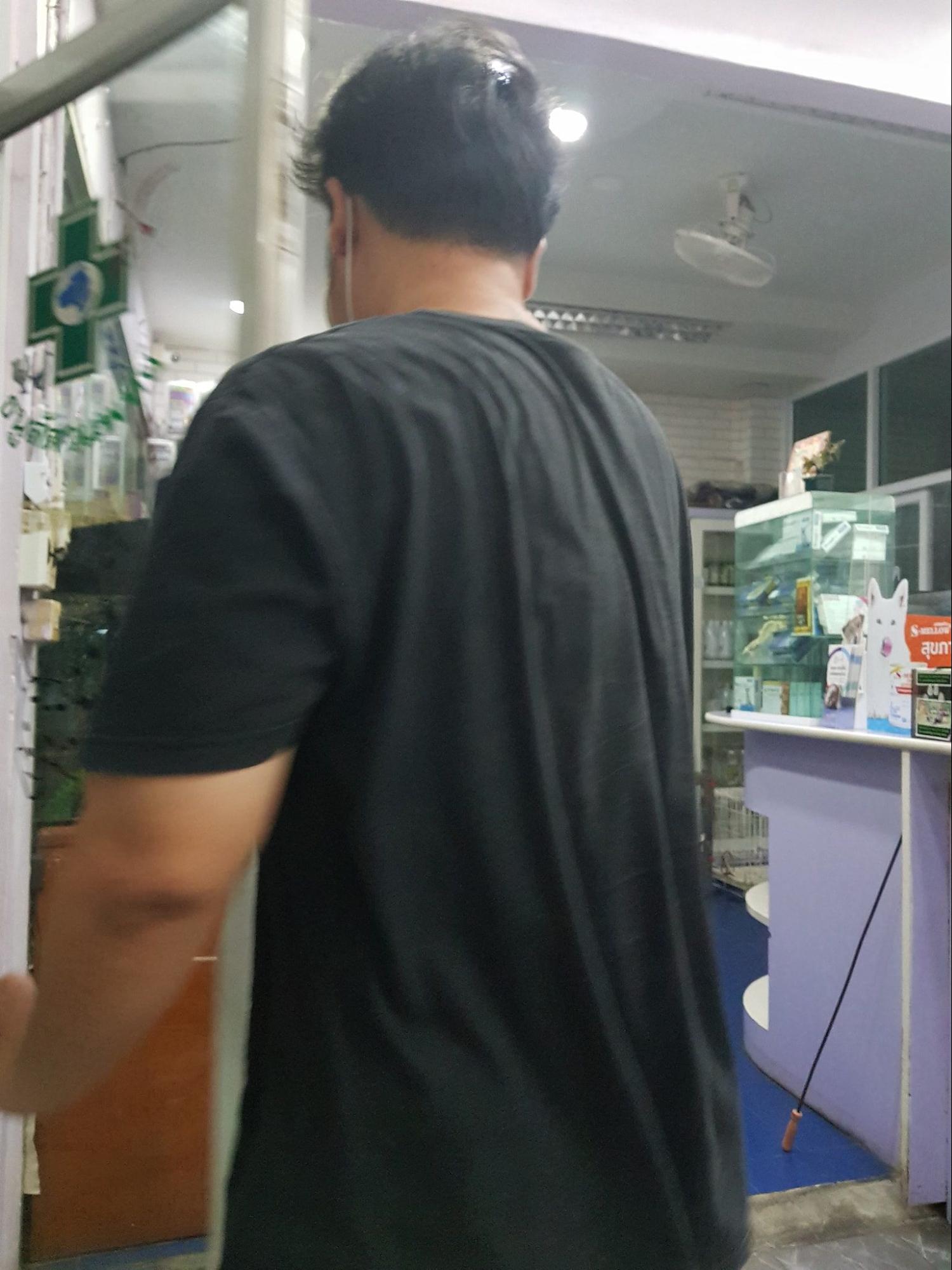 Thai Vet Revives An Injured Cockroach, Oxygen Chamber Used In Rescue