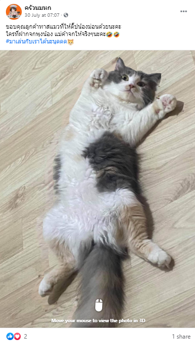 Cat Listed On GrabFood Menu, Costs ฿1 & Is Named "Baby Mon"