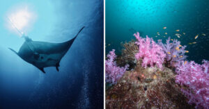 The Ultimate Patong Beach Guide For First-Timers