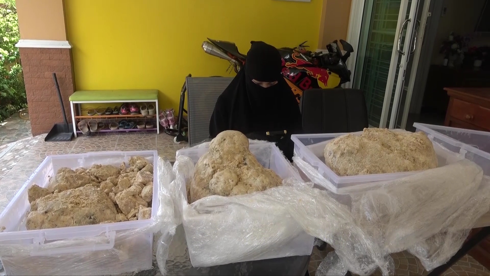 Woman Finds 30KG Of Whale Vomit Worth ~฿100M On Seaside Stroll