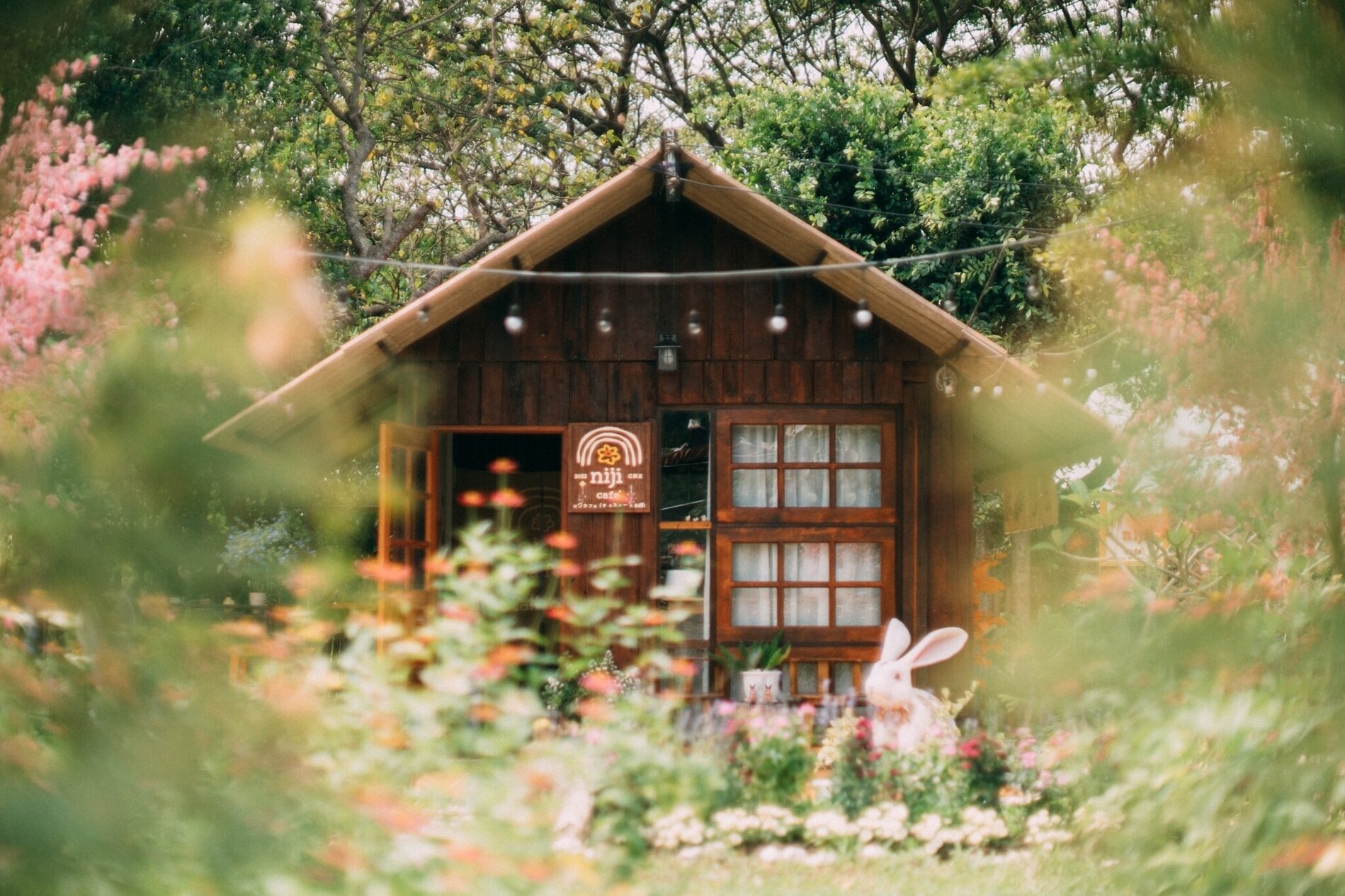 Niji Cafe Is A Japanese-Style Cat & Chocolate Cafe With Shoji Doors