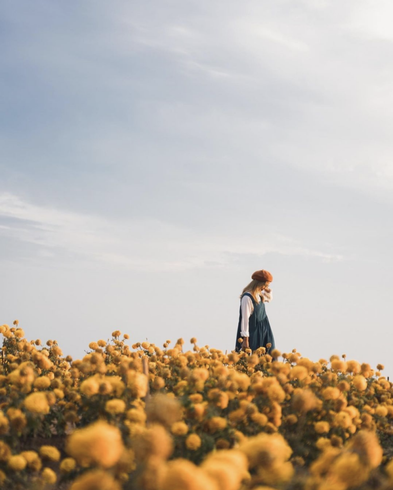 Ying Yong Flower Garden, Chiang Mai: Recreate Dreamy K-Drama Photos