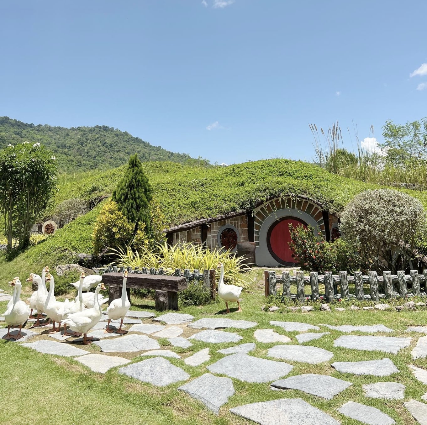 Alpaca Hill Is An Alpaca Farm With New Zealand Vibes 3H From Bangkok