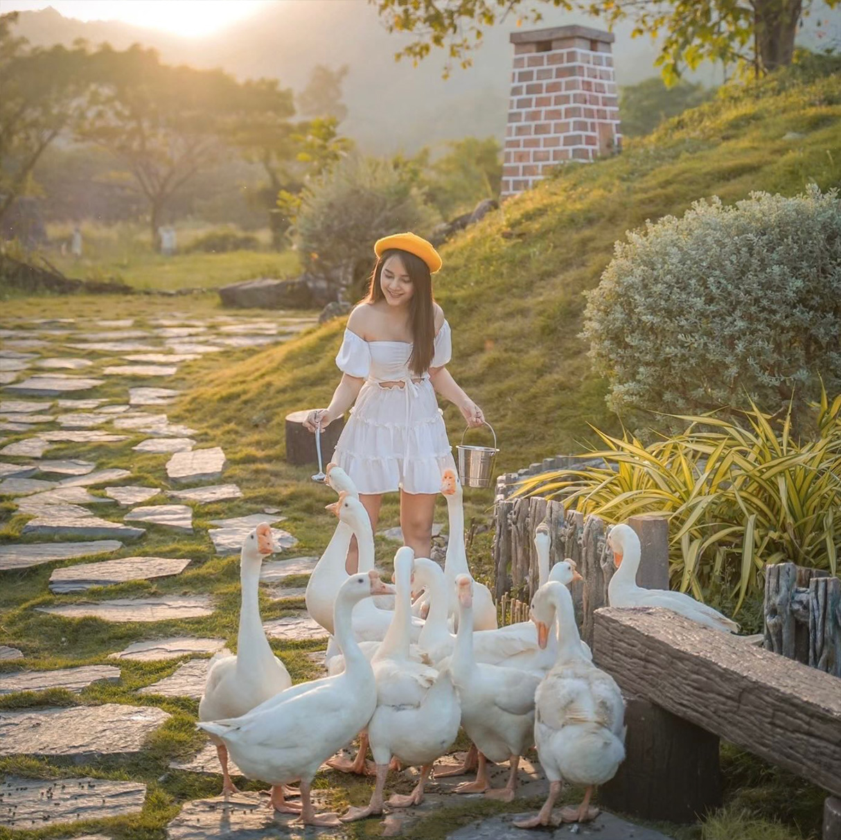 Alpaca Hill Is An Alpaca Farm With New Zealand Vibes 3H From Bangkok