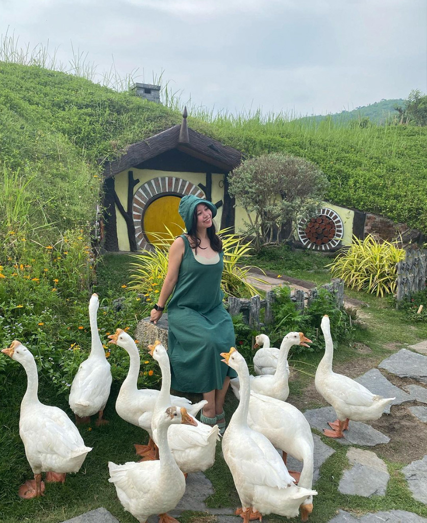 Alpaca Hill Is An Alpaca Farm With New Zealand Vibes 3H From Bangkok