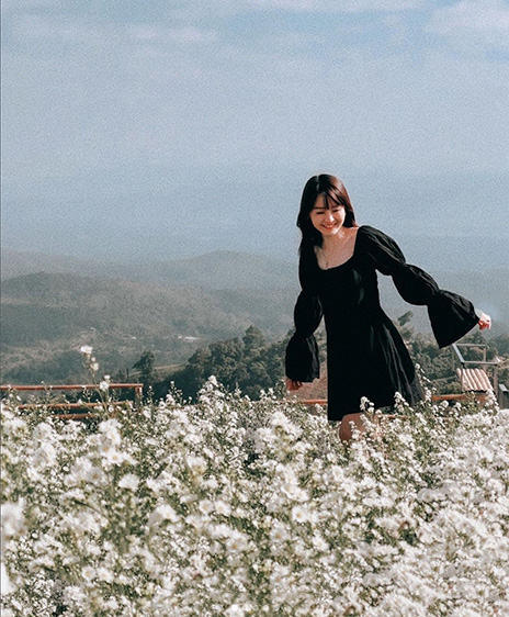 Ying Yong Flower Garden, Chiang Mai: Recreate Dreamy K-Drama Photos