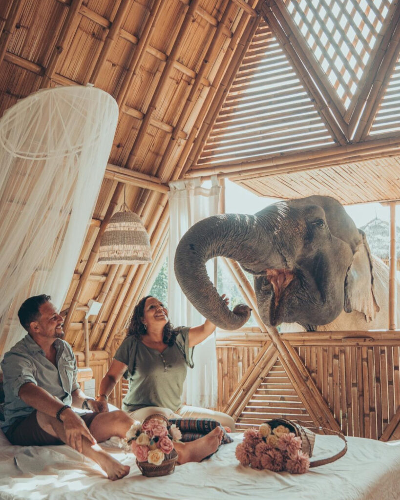Chai Lai Orchid Chiang Mai Is An Ethical Elephant Hotel For Animal Lovers