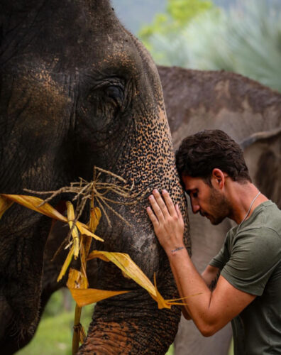 Chai Lai Orchid Chiang Mai Is An Ethical Elephant Hotel For Animal Lovers