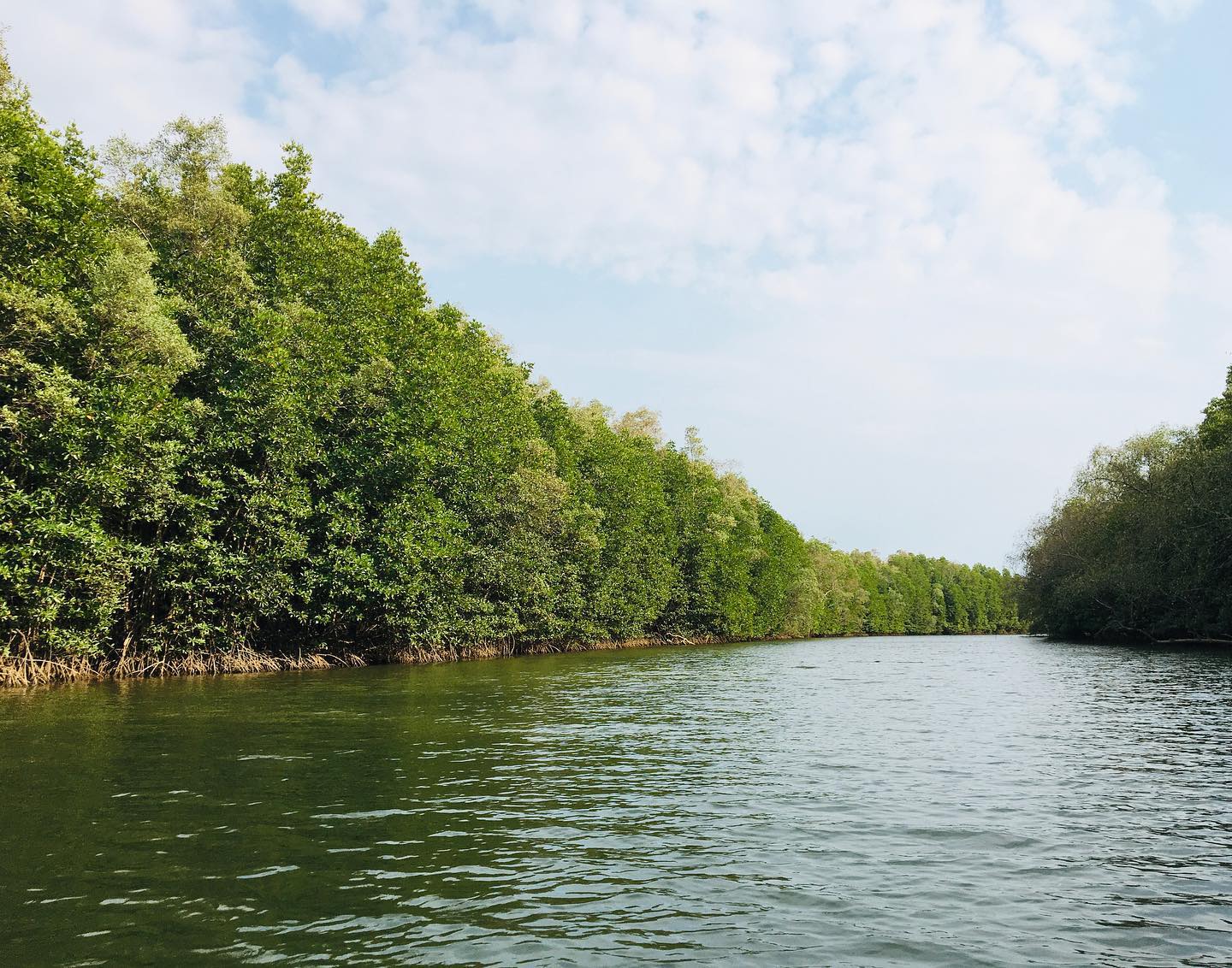 Ban Tha Ranae In Trat Has Massive Mangroves For SUP Paddling