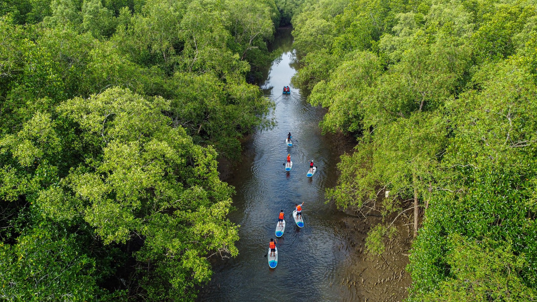 Ban Tha Ranae In Trat Has Massive Mangroves For SUP Paddling