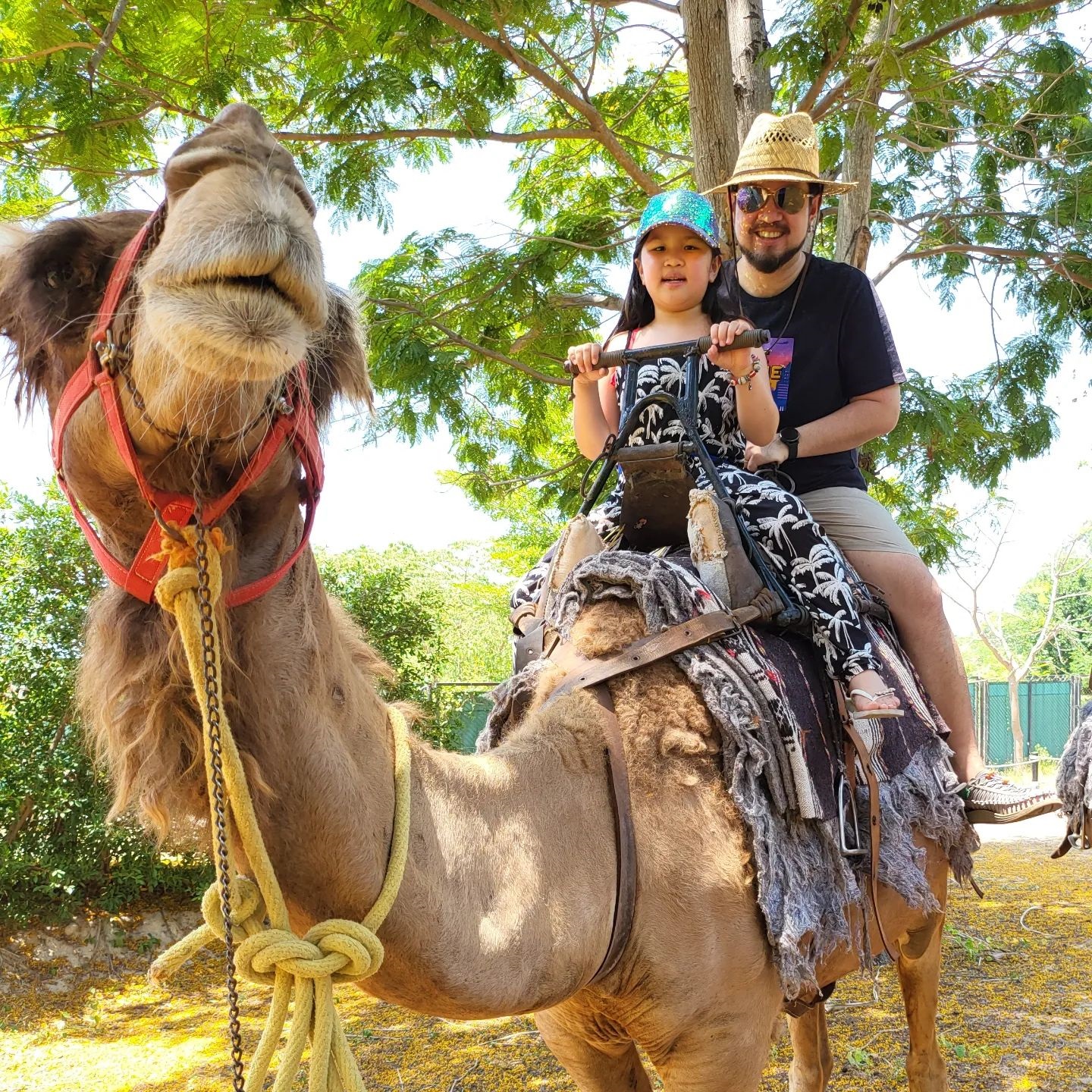 Camel Republic Cha-Am Is A Moroccan-Style Zoo With Rides In Phetburi