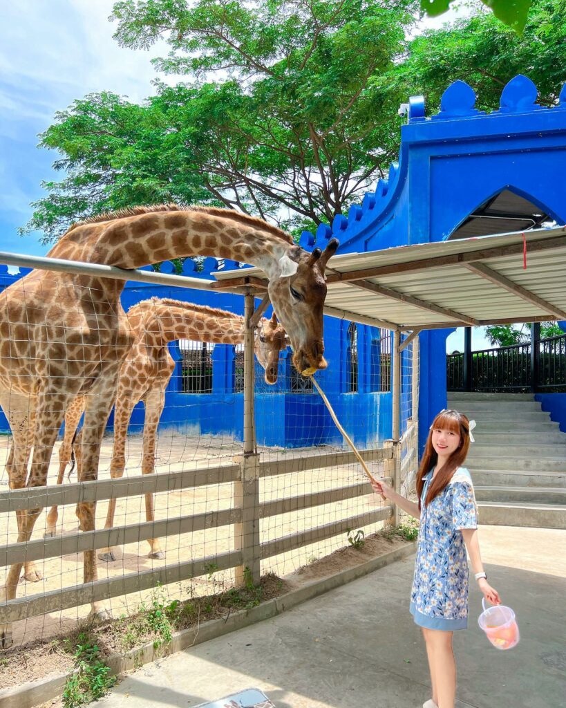 Camel Republic Cha-Am Is A Moroccan-Style Zoo With Rides In Phetburi