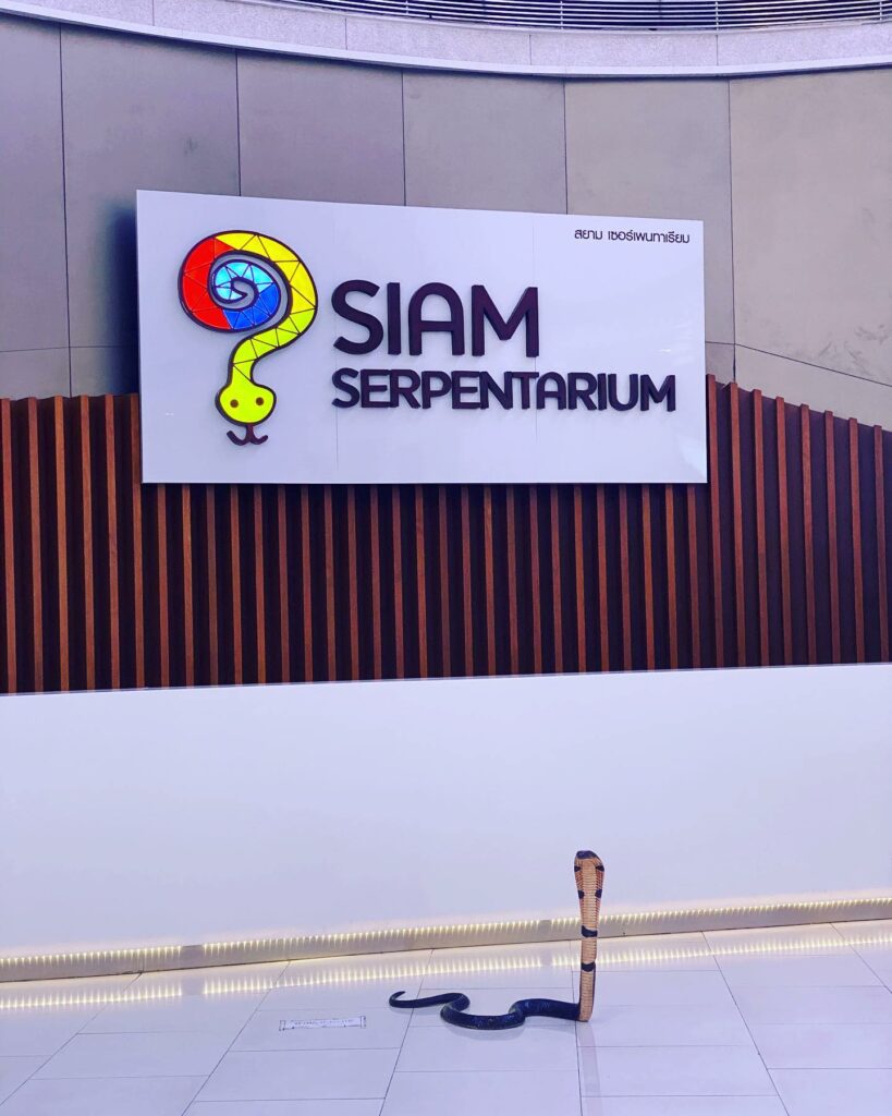 Siam Serpentarium Has More Than 70 Snake Species & Cobra Shows