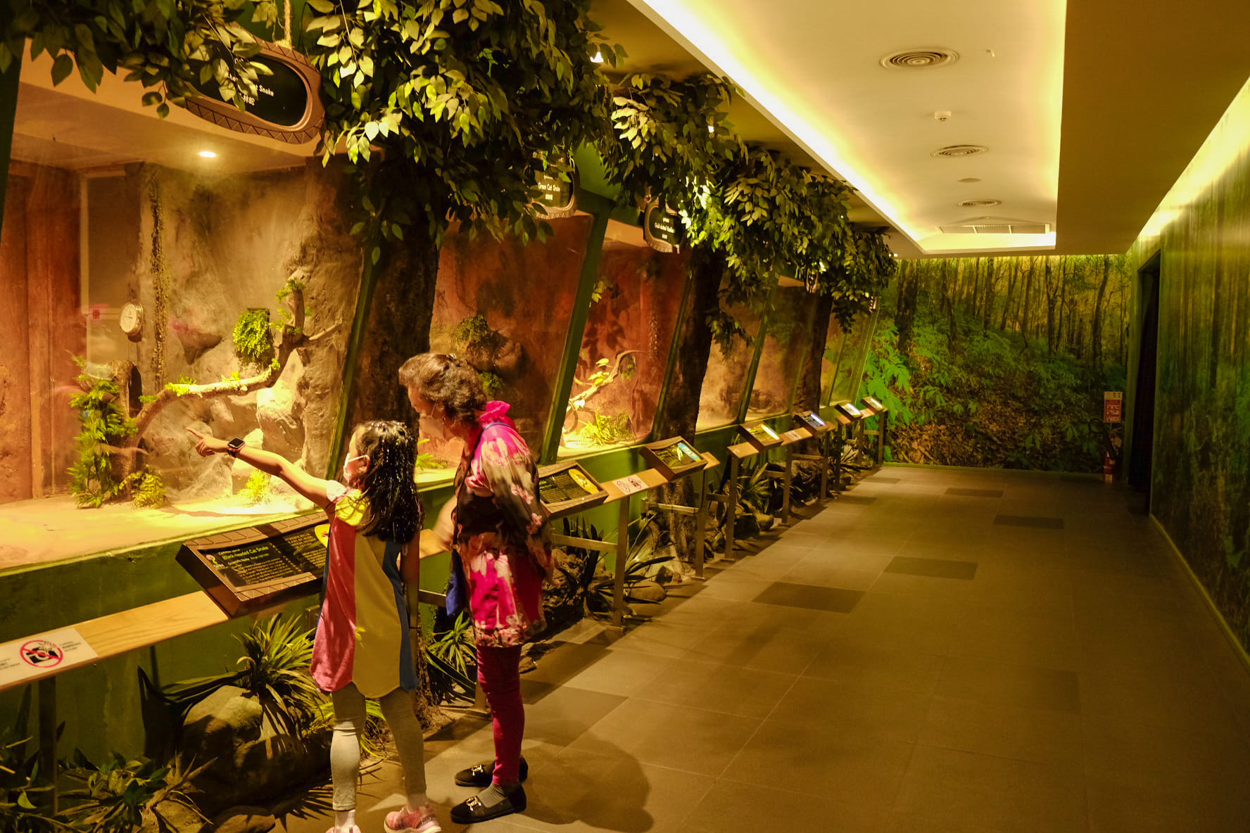 Siam Serpentarium Has More Than 70 Snake Species & Cobra Shows