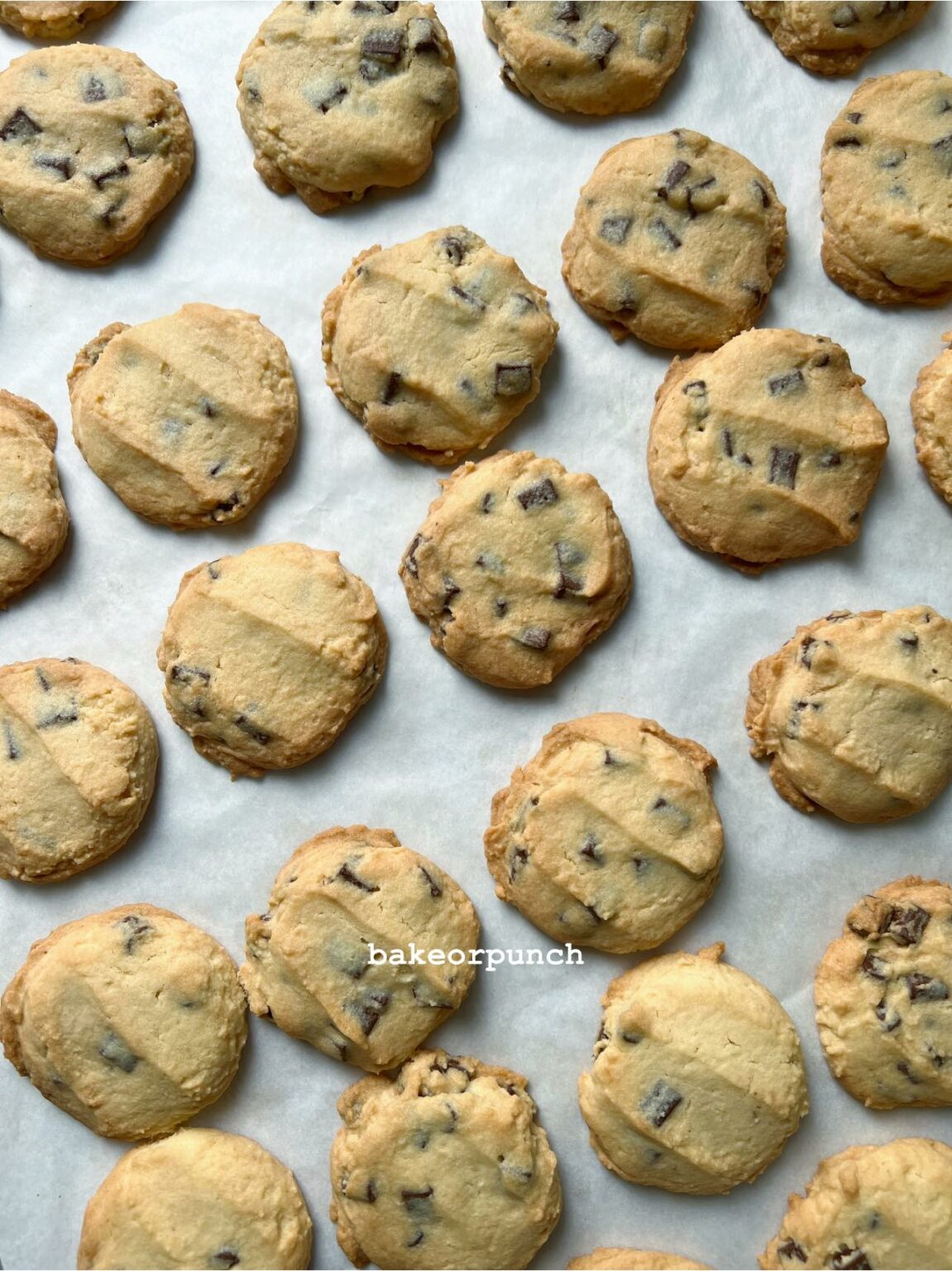 Thai Cat Litter & Poop Snack Is Chocolate And Crumbles