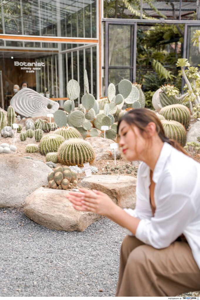 Botanist Activity Space Is A Cafe In Bangkok With Cacti In A Glasshouse