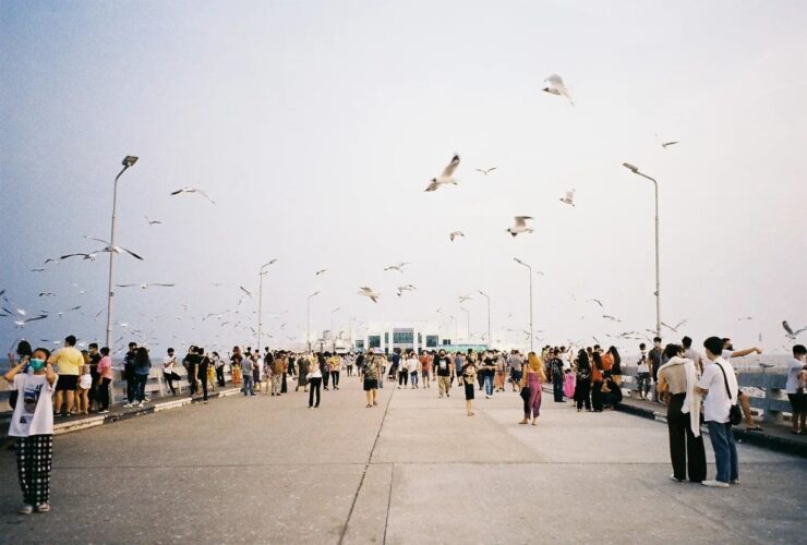 Bangpu Recreation Centre Lets You Feed Seagulls & Watch The Sunset