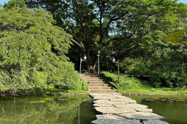 Phupa: New Public Park To Open In 2023 With Playground & Fun Activities