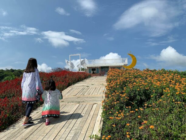 Hydrangea Cafe, Khao Kho Has Colourful Flower Fields Amid Green Hills