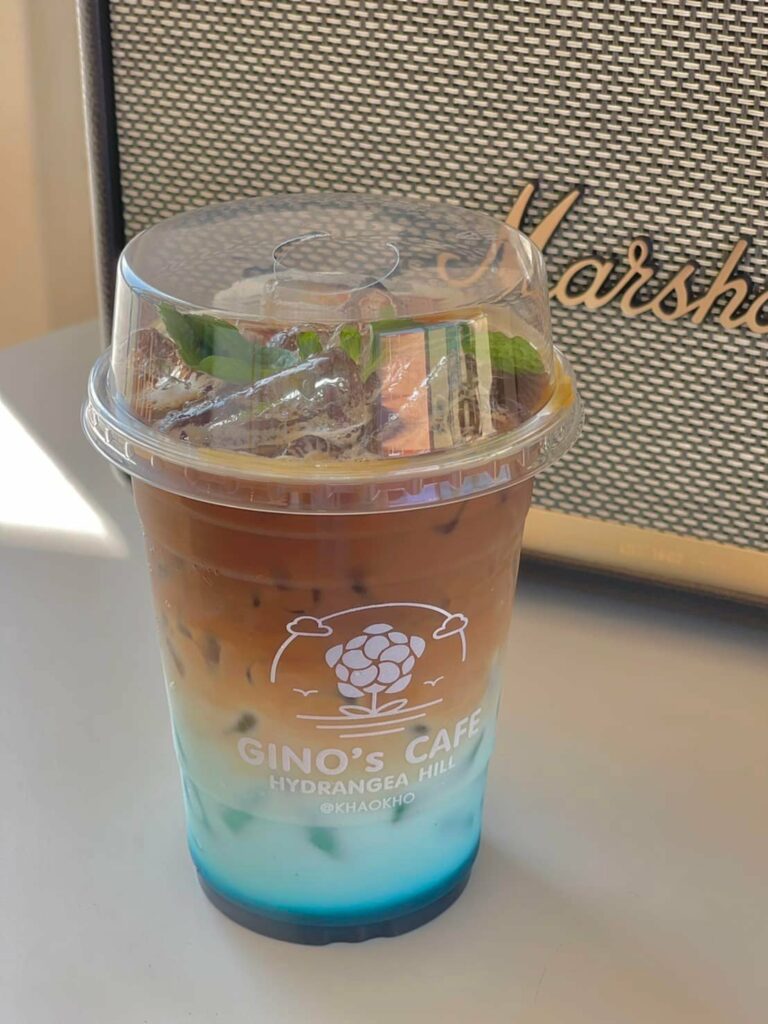 Hydrangea Cafe, Khao Kho Has Colourful Flower Fields Amid Green Hills