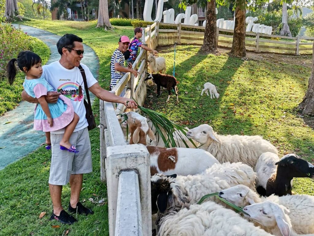 Strawberry Town: Mini-Netherlands With A Lovely Garden & Photo Spots