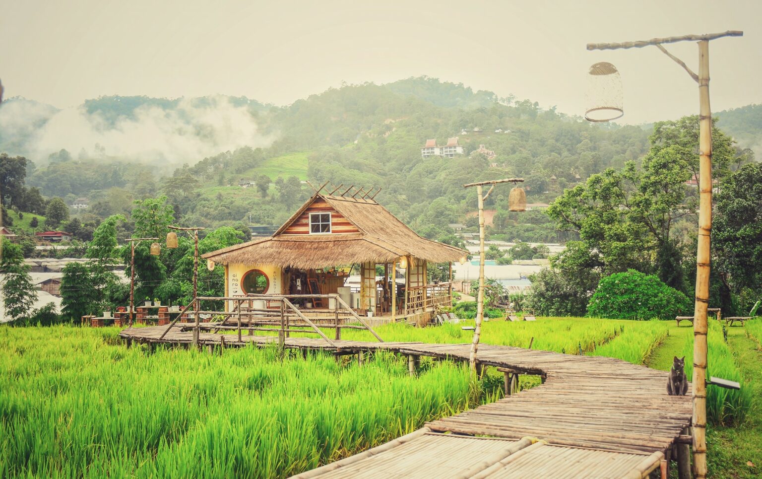 Ai Nara Cafe, Chiang Mai: Japanese Countryside-Themed Huts In A Field