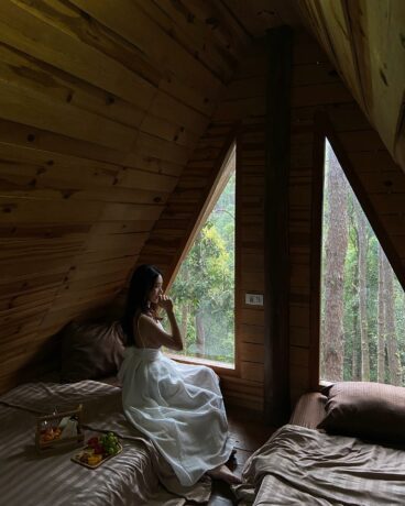 Doi Bo Luang, Chiang Mai: A-Frame Houses In A Misty Pine Forest