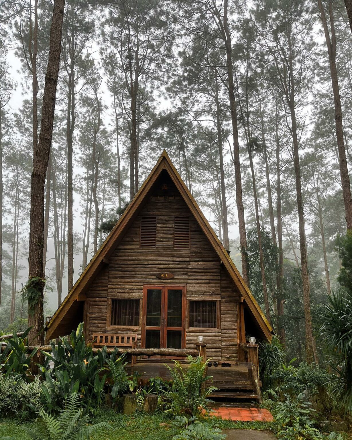 Doi Bo Luang, Chiang Mai: A-Frame Houses In A Misty Pine Forest