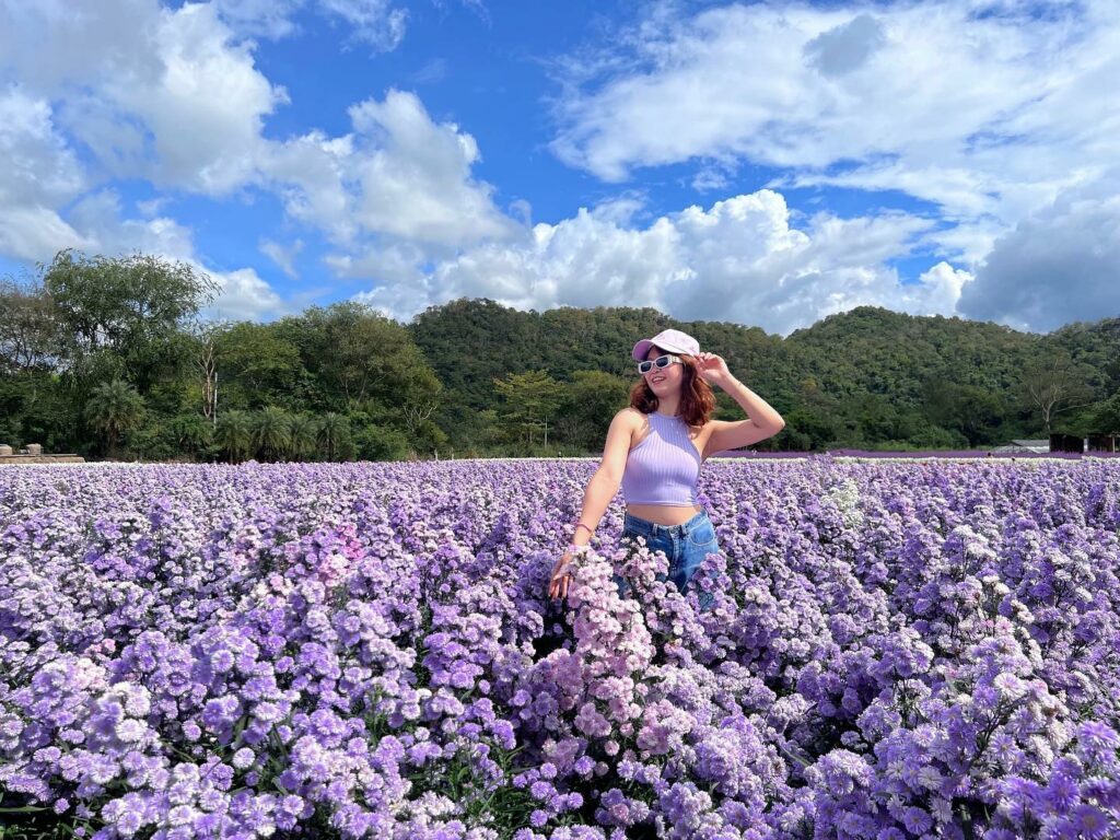 Hokkaido Flower Park Khao Yai: Colourful Gardens With Mountain Views