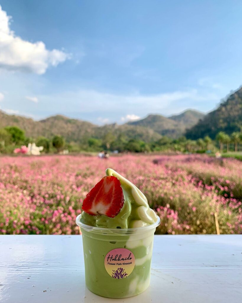 Hokkaido Flower Park Khao Yai: Colourful Gardens With Mountain Views