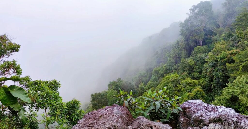 Hala Bala Forest, Yala: Wildlife, A Scenic Waterfall & A Large Lake