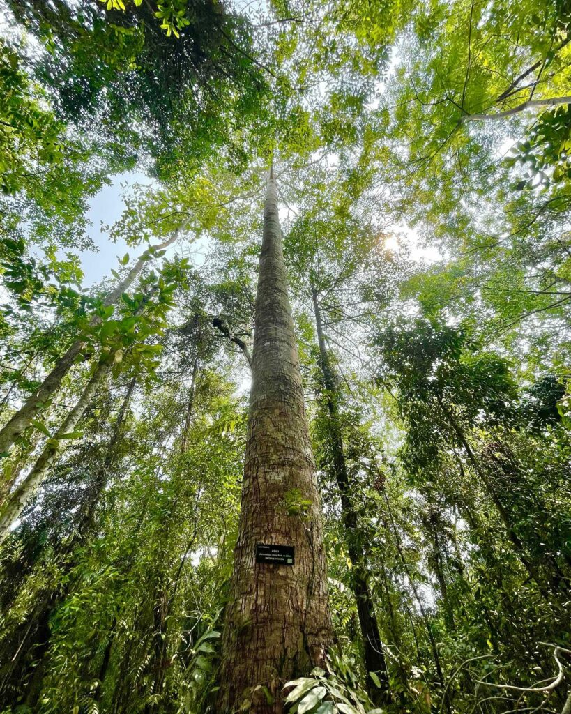 Rayong Botanic Garden, Rayong: Paddle A Kayak & Explore Ancient Forests