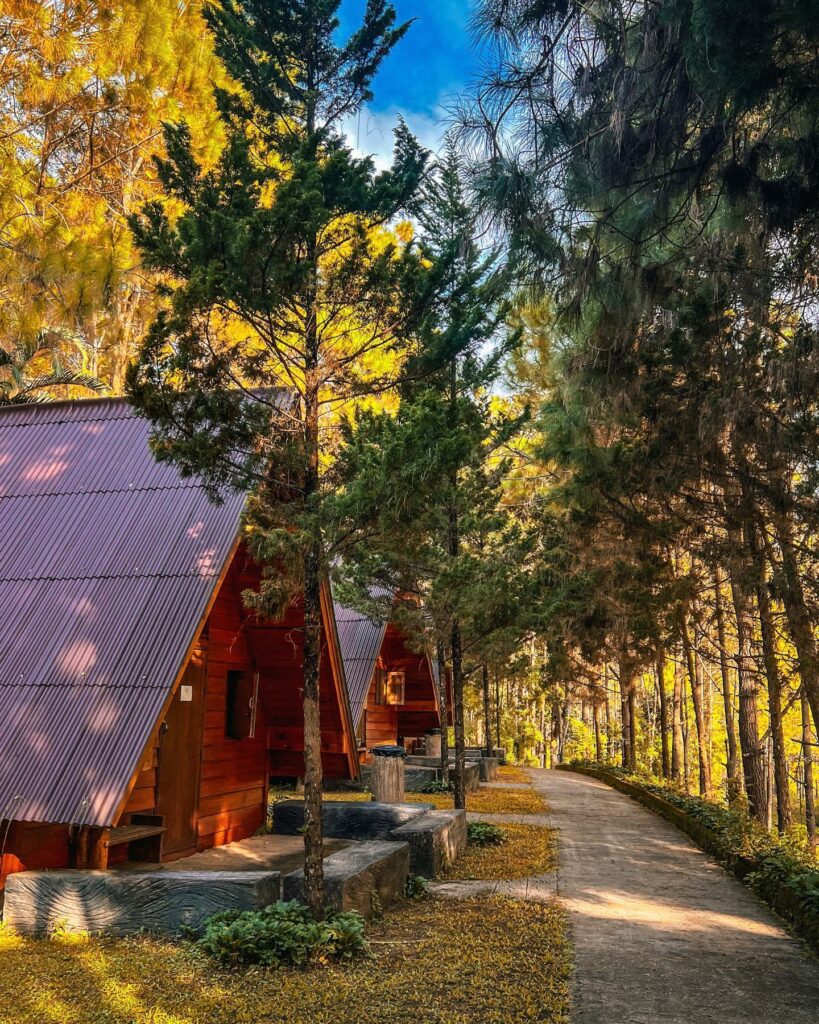 Pa-Son Watchan, Chiang Mai: Curl Up In A-Frame Log Huts In Pine Forest