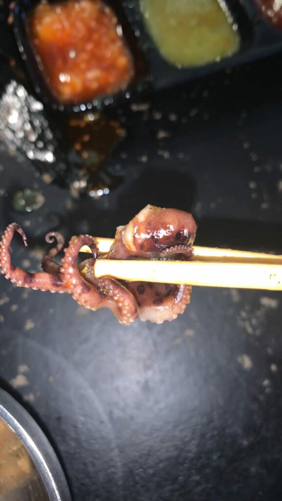 Blue-Ringed Octopus Found In Shabu-Shabu Hot Pot