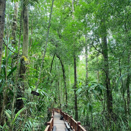 9 Places To Explore In Narathiwat: The Southernmost Province In Thailand