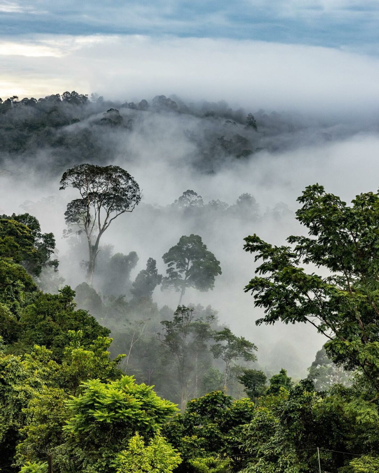 9 Places To Explore In Narathiwat: The Southernmost Province In Thailand